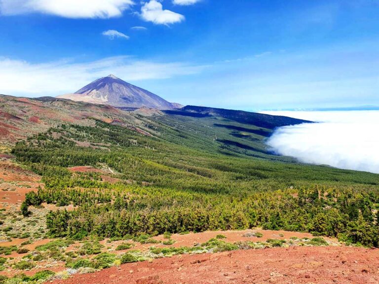 Teneriffa Reisetipps: 10 Tipps für einen unvergesslichen Urlaub